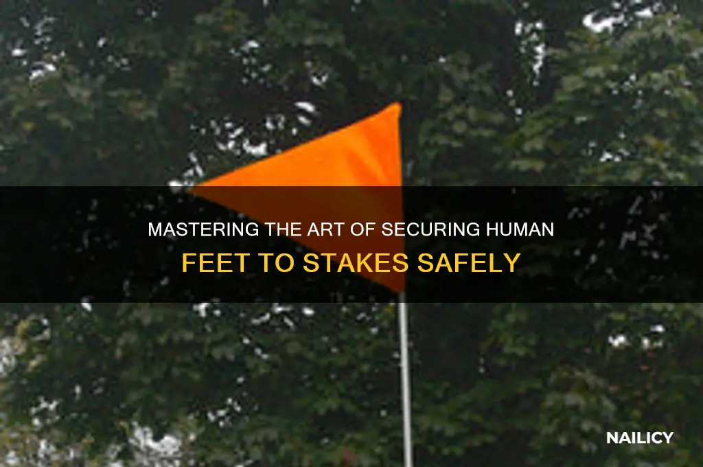 Mastering The Art Of Securing Human Feet To Stakes Safely | Nailicy