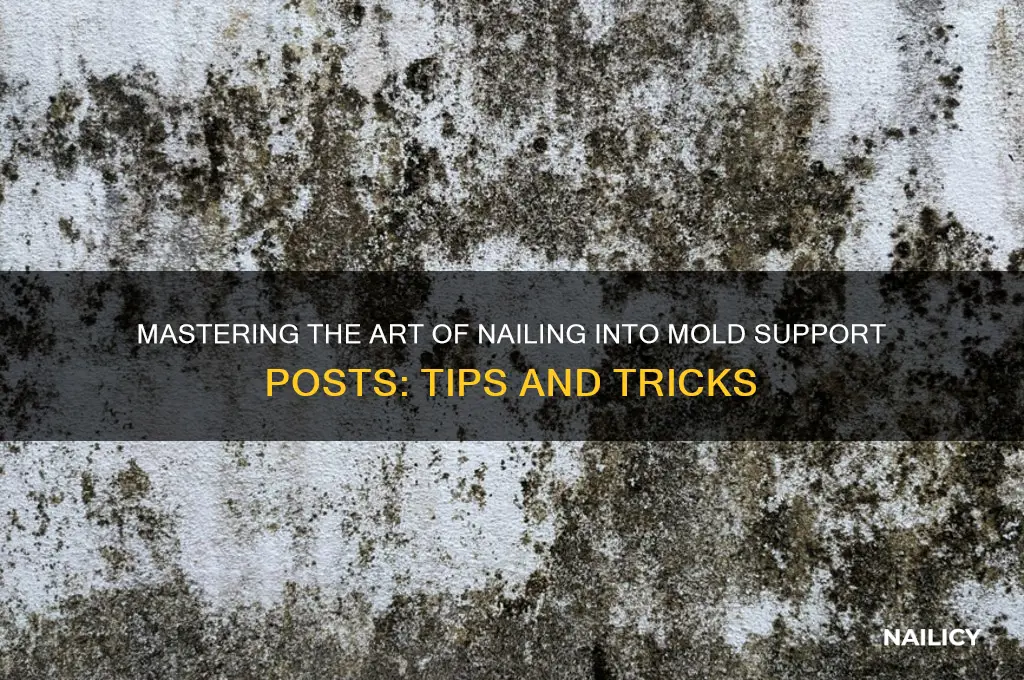 Mastering The Art Of Nailing Into Mold Support Posts: Tips And Tricks ...