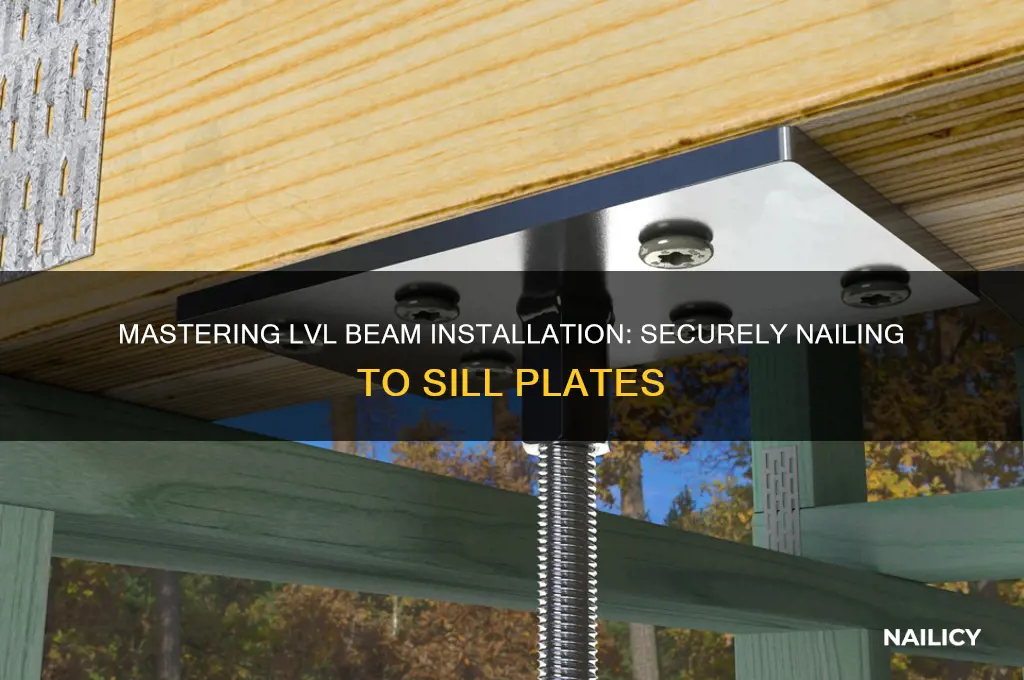 Mastering Lvl Beam Installation: Securely Nailing To Sill Plates | Nailicy
