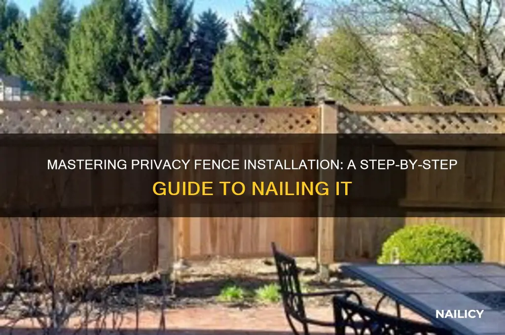 Mastering Privacy Fence Installation: A Step-By-Step Guide To Nailing ...