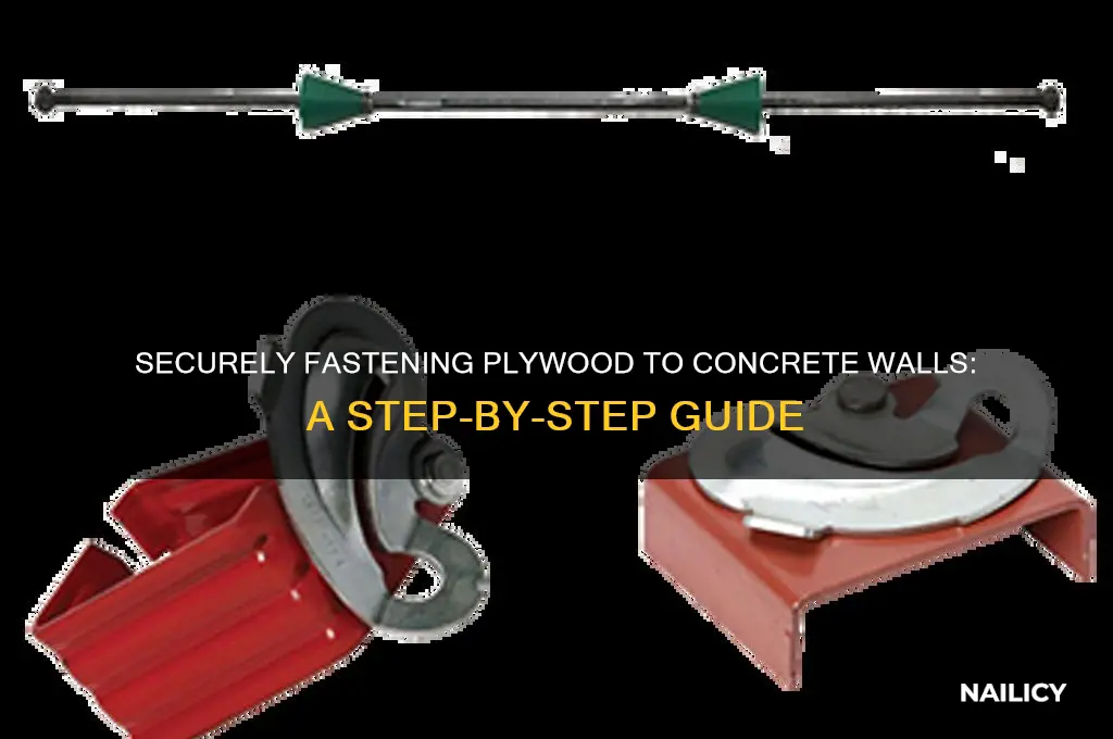 Securely Fastening Plywood To Concrete Walls: A Step-By-Step Guide ...