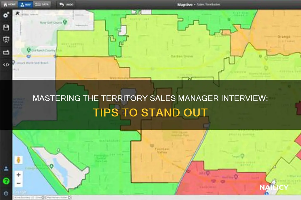 Mastering The Territory Sales Manager Interview: Tips To Stand Out ...
