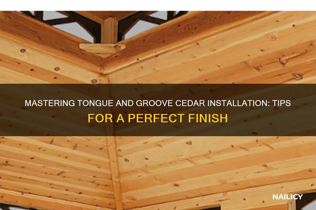 Mastering Tongue And Groove Cedar Installation: Tips For A Perfect ...