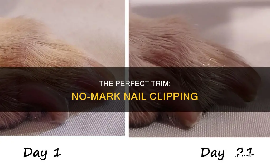 The Perfect Trim: No-Mark Nail Clipping | Nailicy