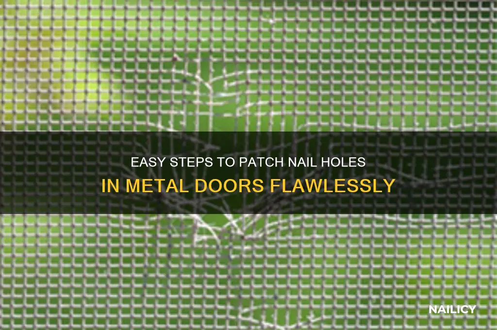 Easy Steps To Patch Nail Holes In Metal Doors Flawlessly | Nailicy