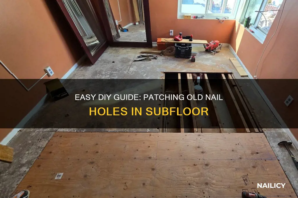Easy Diy Guide: Patching Old Nail Holes In Subfloor | Nailicy