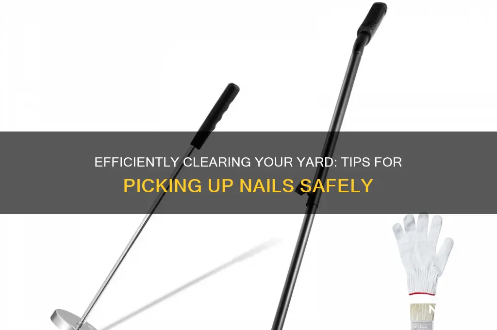 Efficiently Clearing Your Yard: Tips For Picking Up Nails Safely | Nailicy