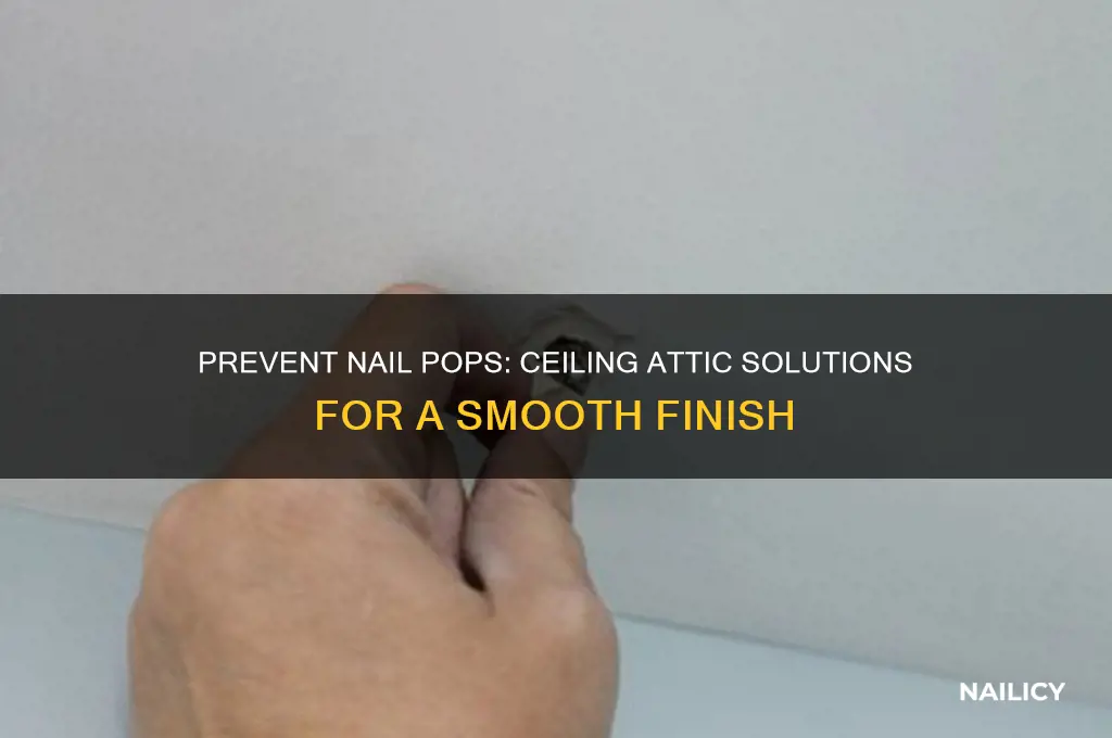 Prevent Nail Pops: Ceiling Attic Solutions For A Smooth Finish | Nailicy