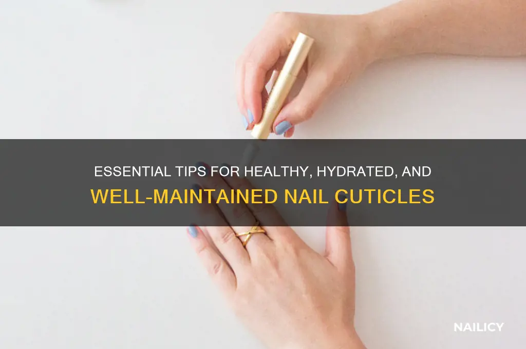 Essential Tips For Healthy, Hydrated, And Well-Maintained Nail Cuticles ...