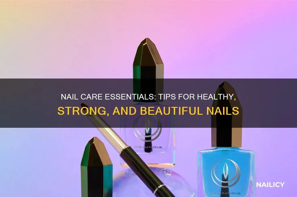 Nail Care Essentials: Tips For Healthy, Strong, And Beautiful Nails ...