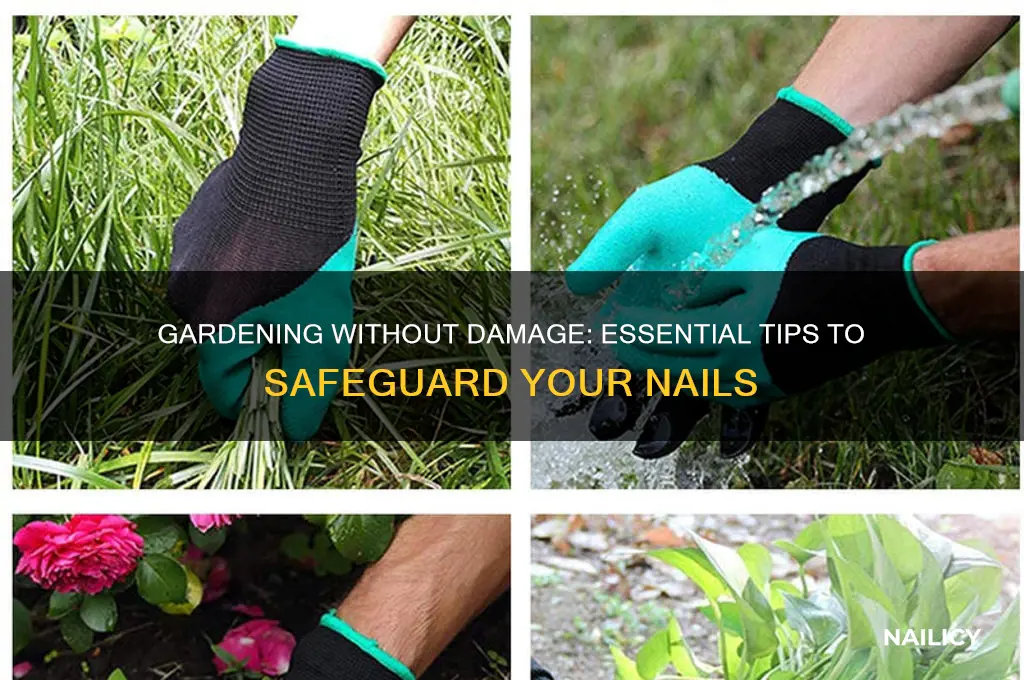 Gardening Without Damage: Essential Tips To Safeguard Your Nails | Nailicy