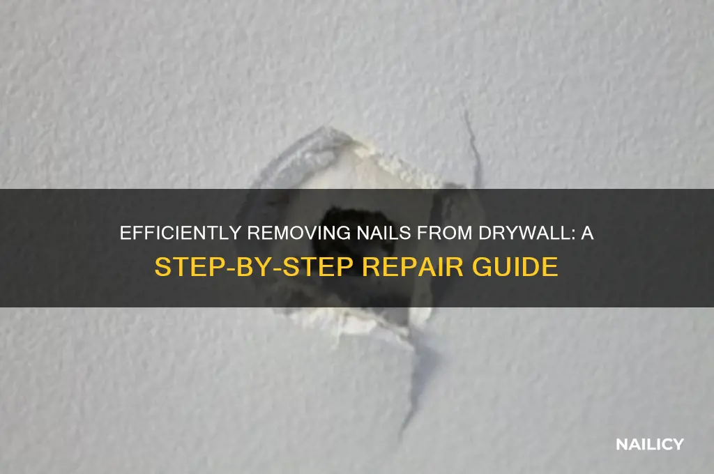 Efficiently Removing Nails From Drywall: A Step-By-Step Repair Guide ...
