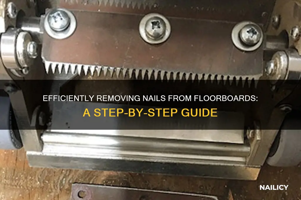 Efficiently Removing Nails From Floorboards: A Step-By-Step Guide | Nailicy