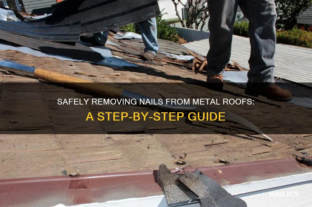 Safely Removing Nails From Metal Roofs: A Step-By-Step Guide | Nailicy