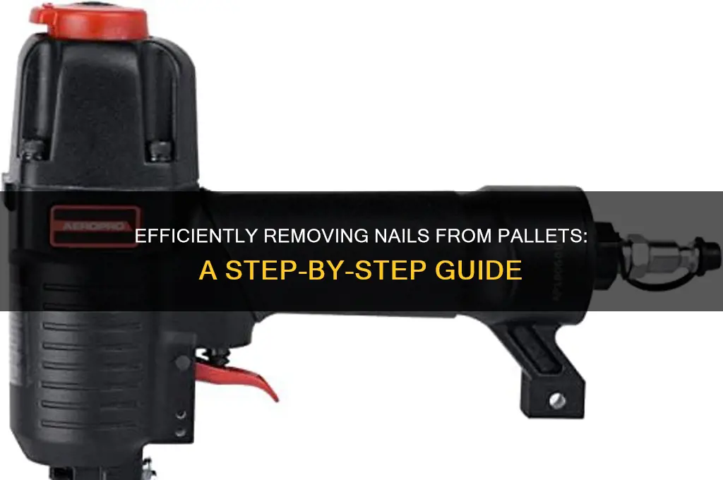 Efficiently Removing Nails From Pallets: A Step-By-Step Guide | Nailicy