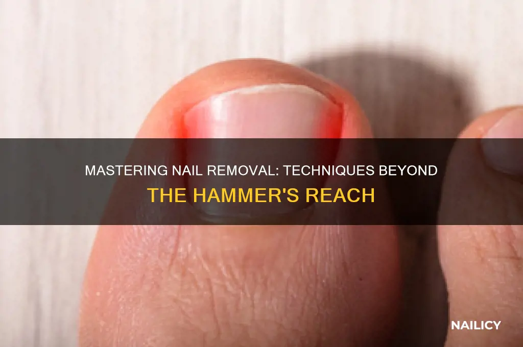 Mastering Nail Removal: Techniques Beyond The Hammer's Reach | Nailicy