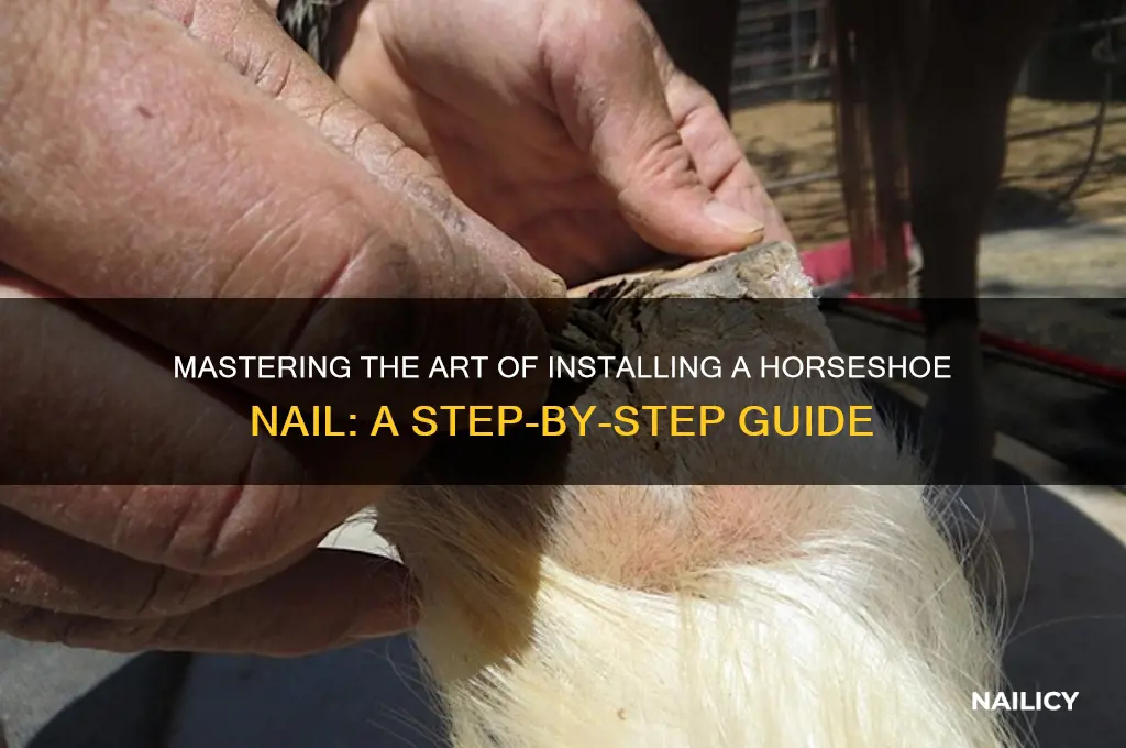 Mastering The Art Of Installing A Horseshoe Nail: A Step-By-Step Guide ...