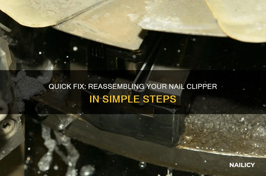 Quick Fix: Reassembling Your Nail Clipper In Simple Steps | Nailicy