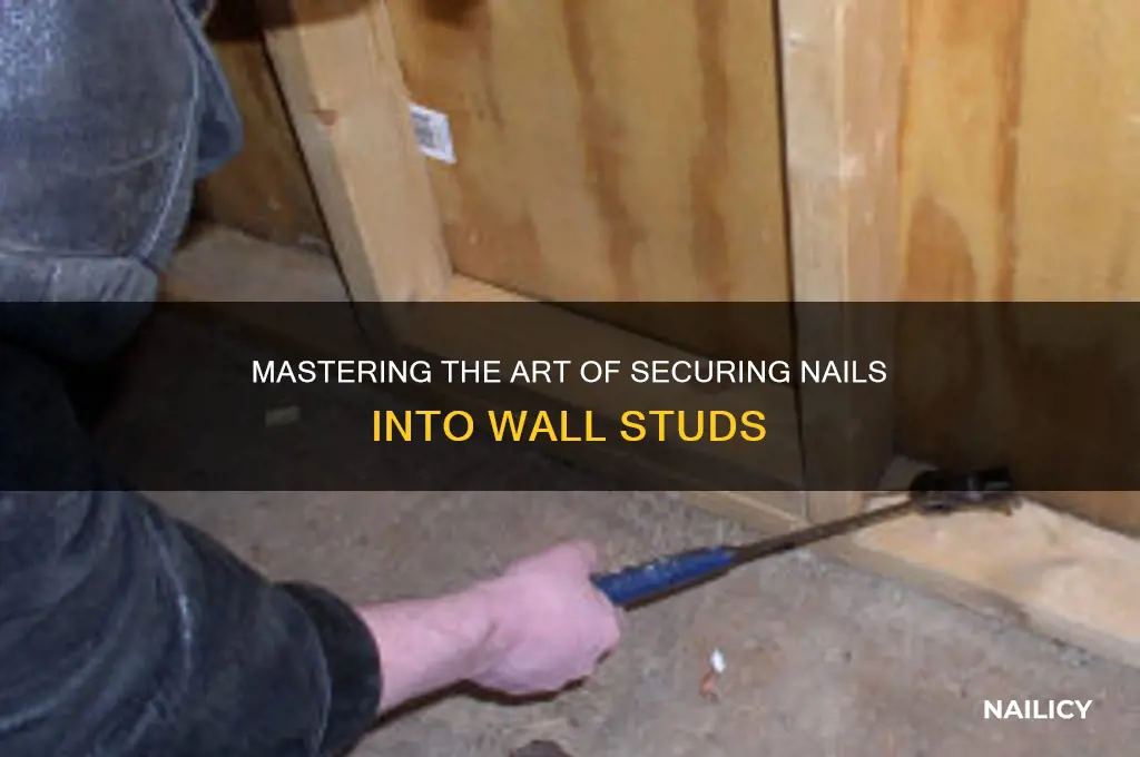 Mastering The Art Of Securing Nails Into Wall Studs | Nailicy