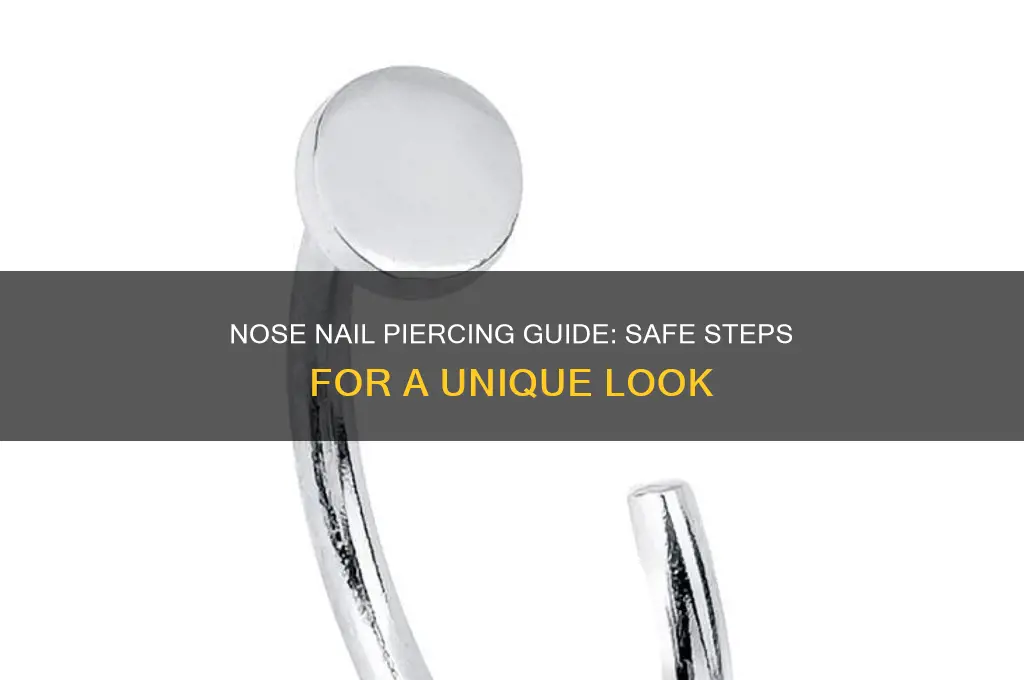 Nose Nail Piercing Guide: Safe Steps For A Unique Look | Nailicy