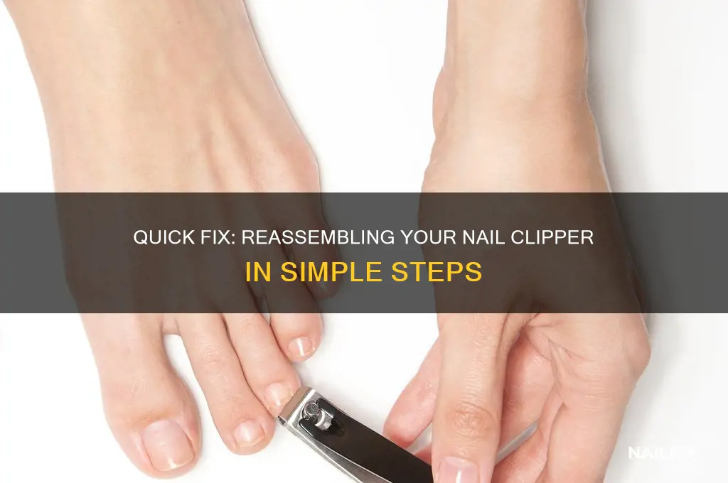 Quick Fix: Reassembling Your Nail Clipper In Simple Steps | Nailicy