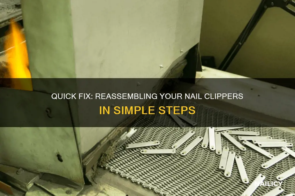 Quick Fix: Reassembling Your Nail Clippers In Simple Steps | Nailicy