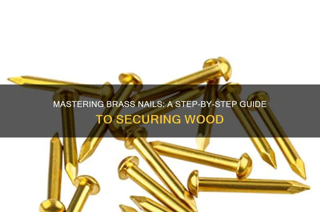 Mastering Brass Nails: A Step-By-Step Guide To Securing Wood | Nailicy