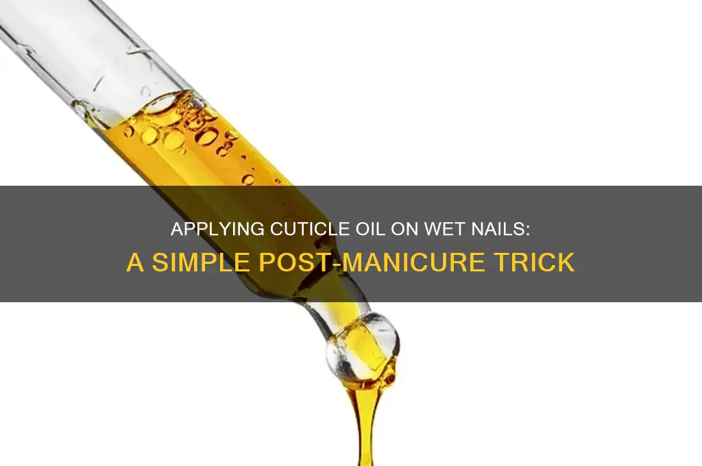 Applying Cuticle Oil On Wet Nails: A Simple Post-Manicure Trick | Nailicy