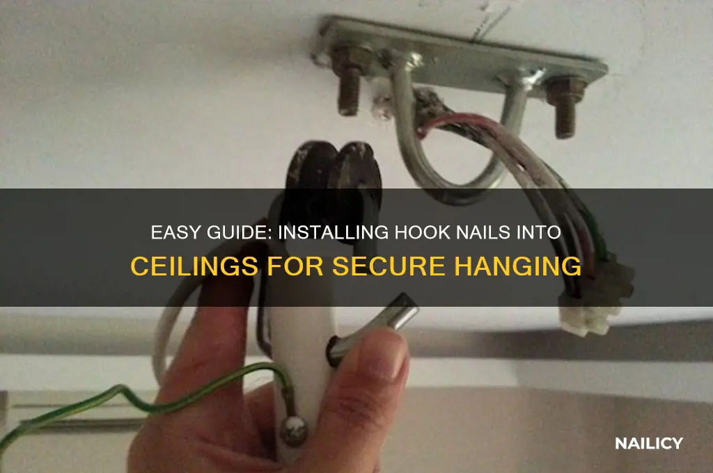 Easy Guide: Installing Hook Nails Into Ceilings For Secure Hanging ...