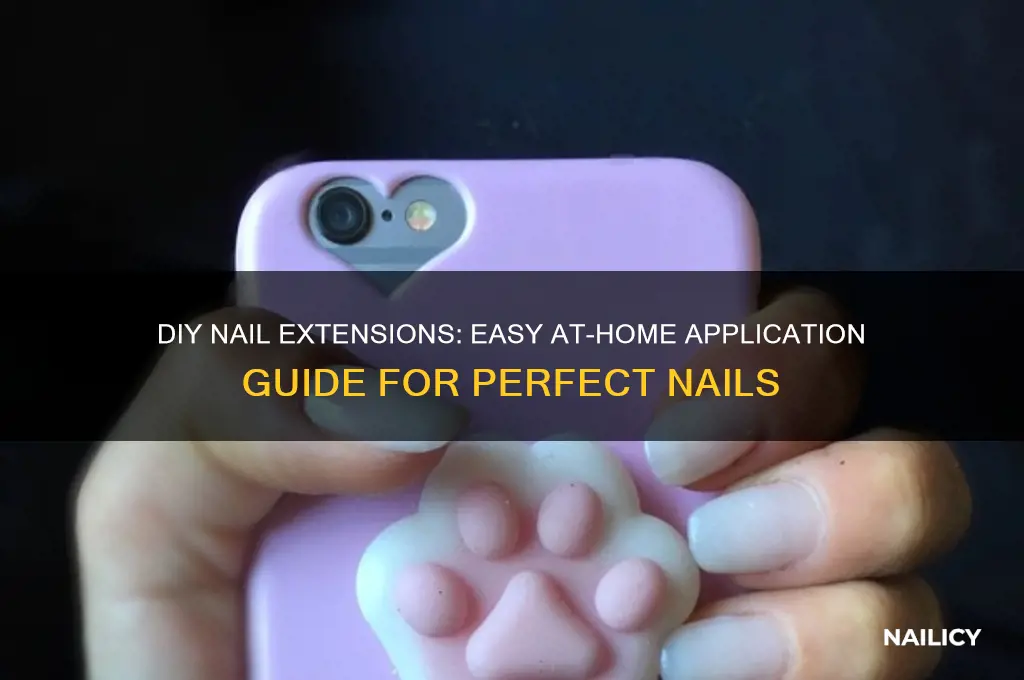 Diy Nail Extensions: Easy At-Home Application Guide For Perfect Nails ...