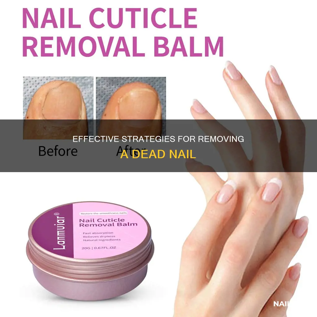 Effective Strategies For Removing A Dead Nail | Nailicy