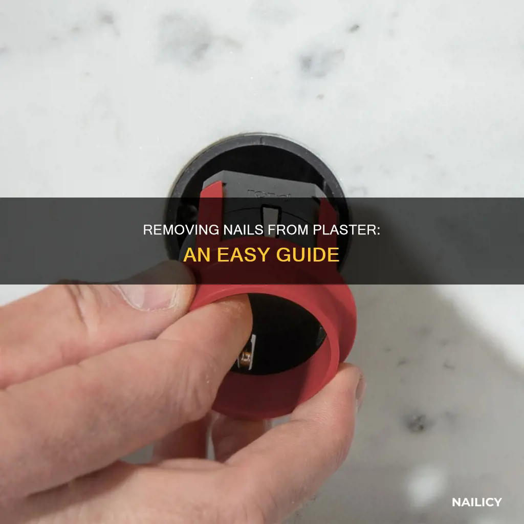 Removing Nails From Plaster: An Easy Guide | Nailicy