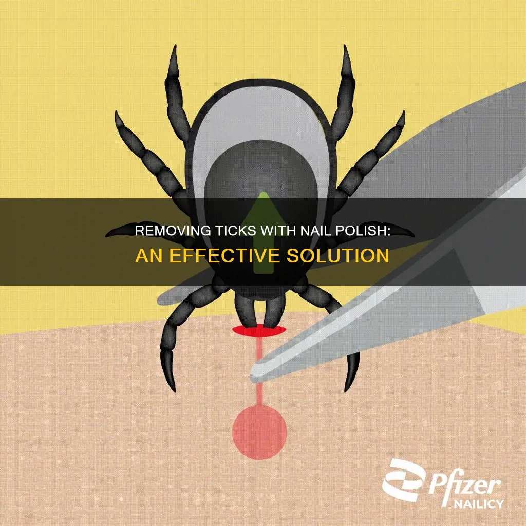 Removing Ticks With Nail Polish: An Effective Solution | Nailicy