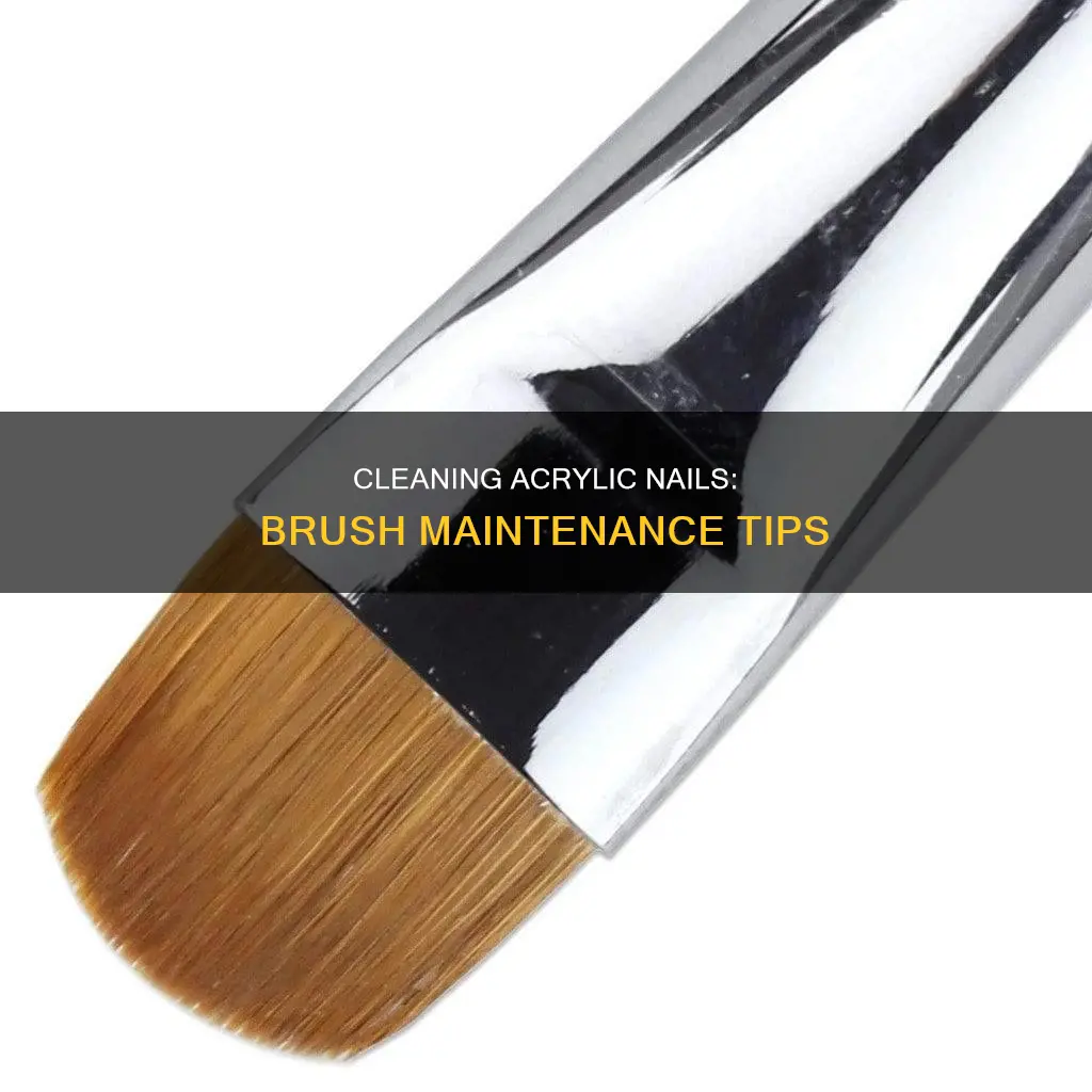 Cleaning Acrylic Nails: Brush Maintenance Tips | Nailicy