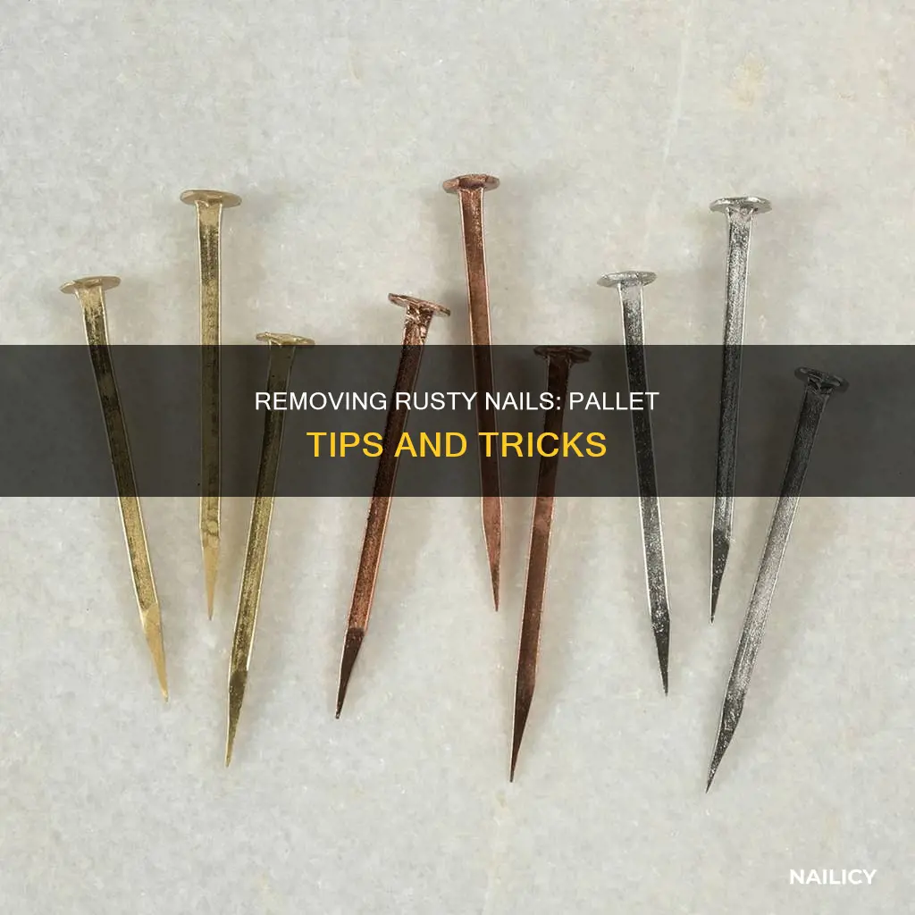 Removing Rusty Nails: Pallet Tips And Tricks | Nailicy