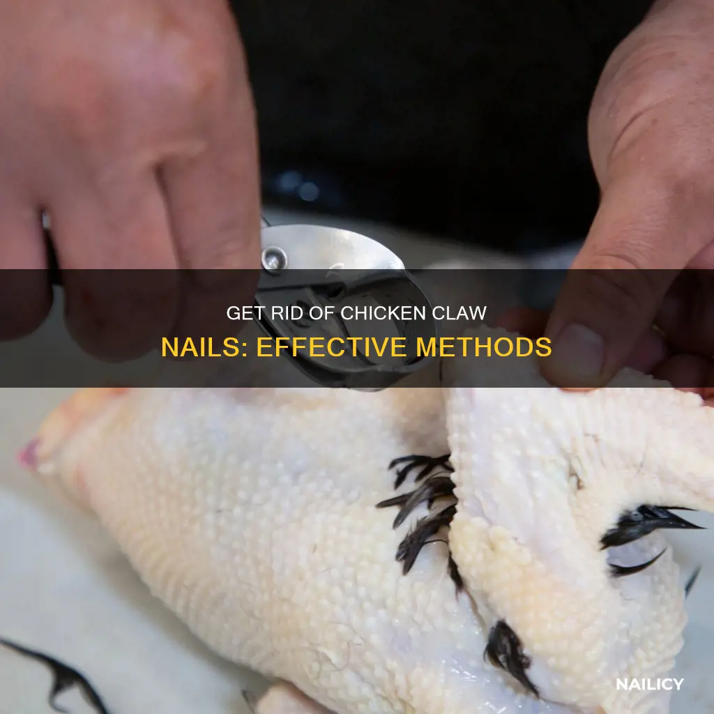 Get Rid Of Chicken Claw Nails: Effective Methods | Nailicy
