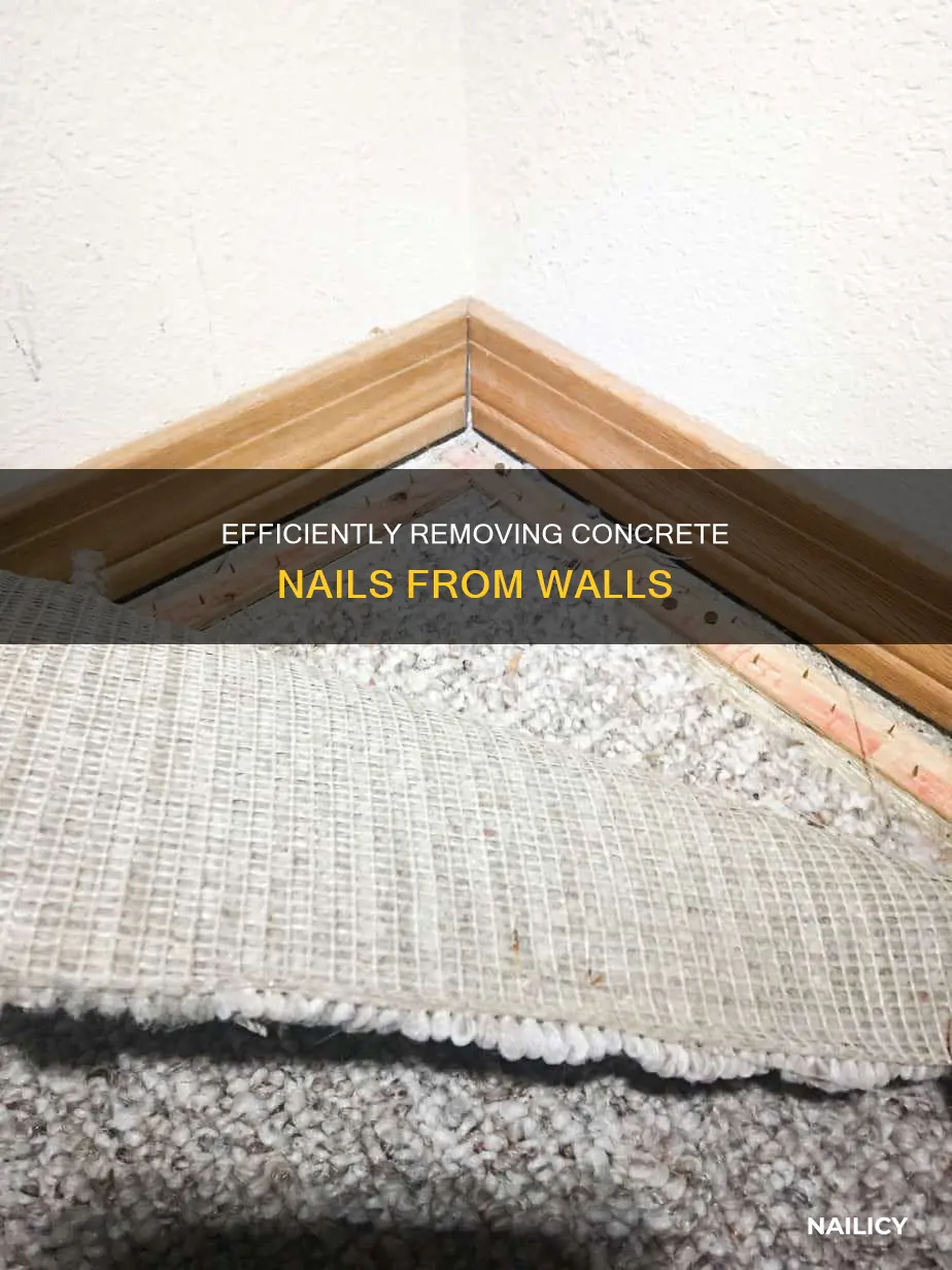 Efficiently Removing Concrete Nails From Walls | Nailicy