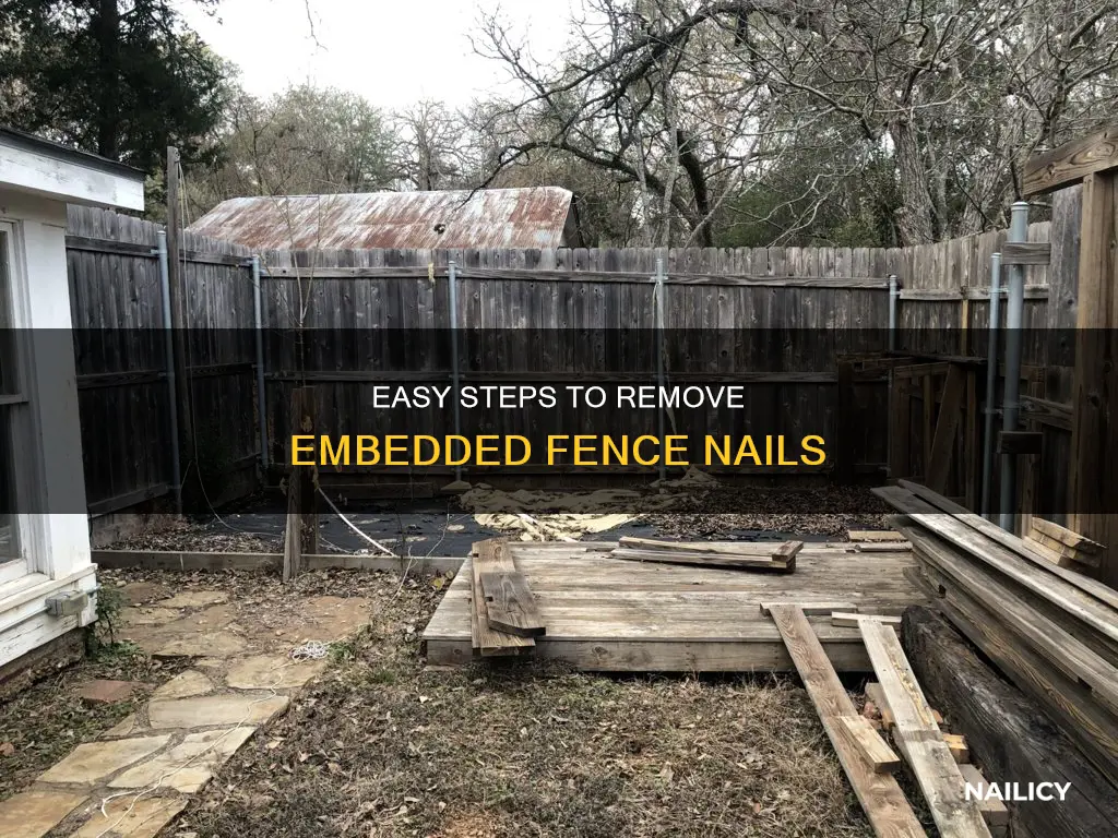 Easy Steps To Remove Embedded Fence Nails | Nailicy