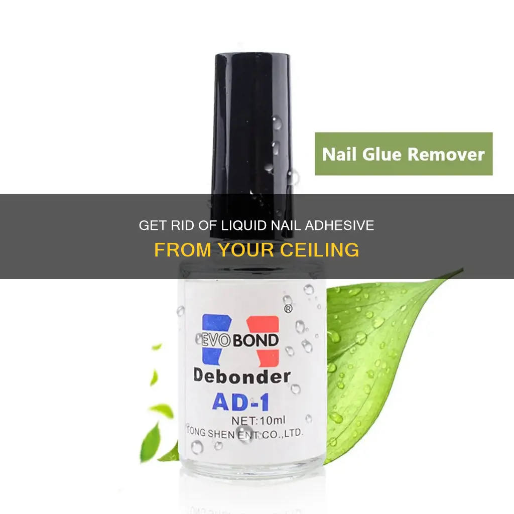 Get Rid Of Liquid Nail Adhesive From Your Ceiling | Nailicy