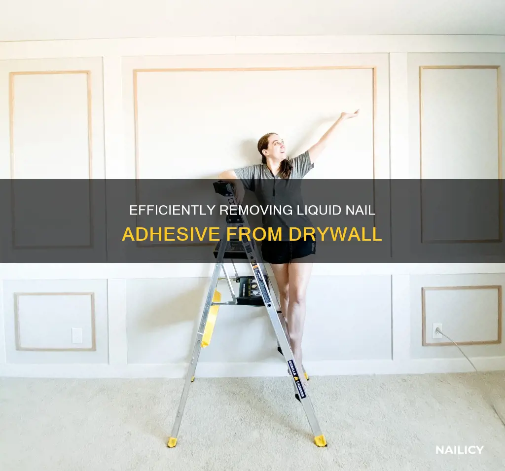 Efficiently Removing Liquid Nail Adhesive From Drywall | Nailicy