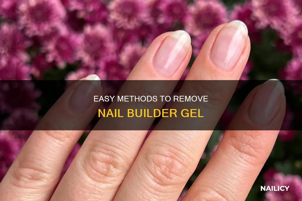 Easy Methods To Remove Nail Builder Gel | Nailicy