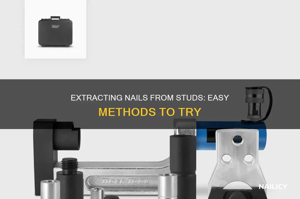 Extracting Nails From Studs: Easy Methods To Try | Nailicy