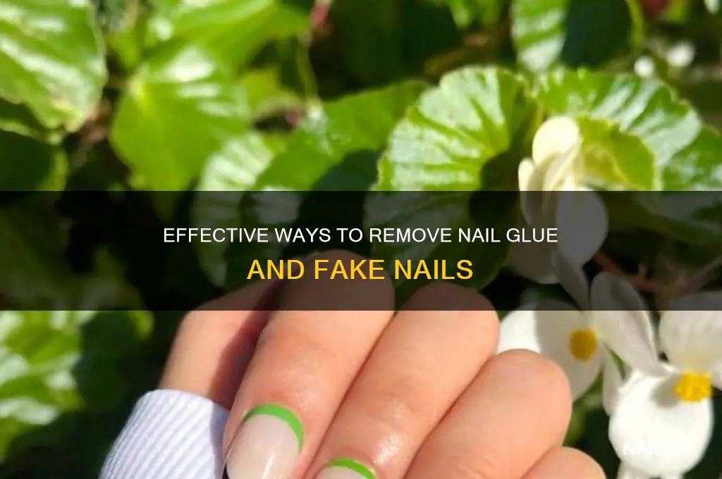 Effective Ways To Remove Nail Glue And Fake Nails | Nailicy