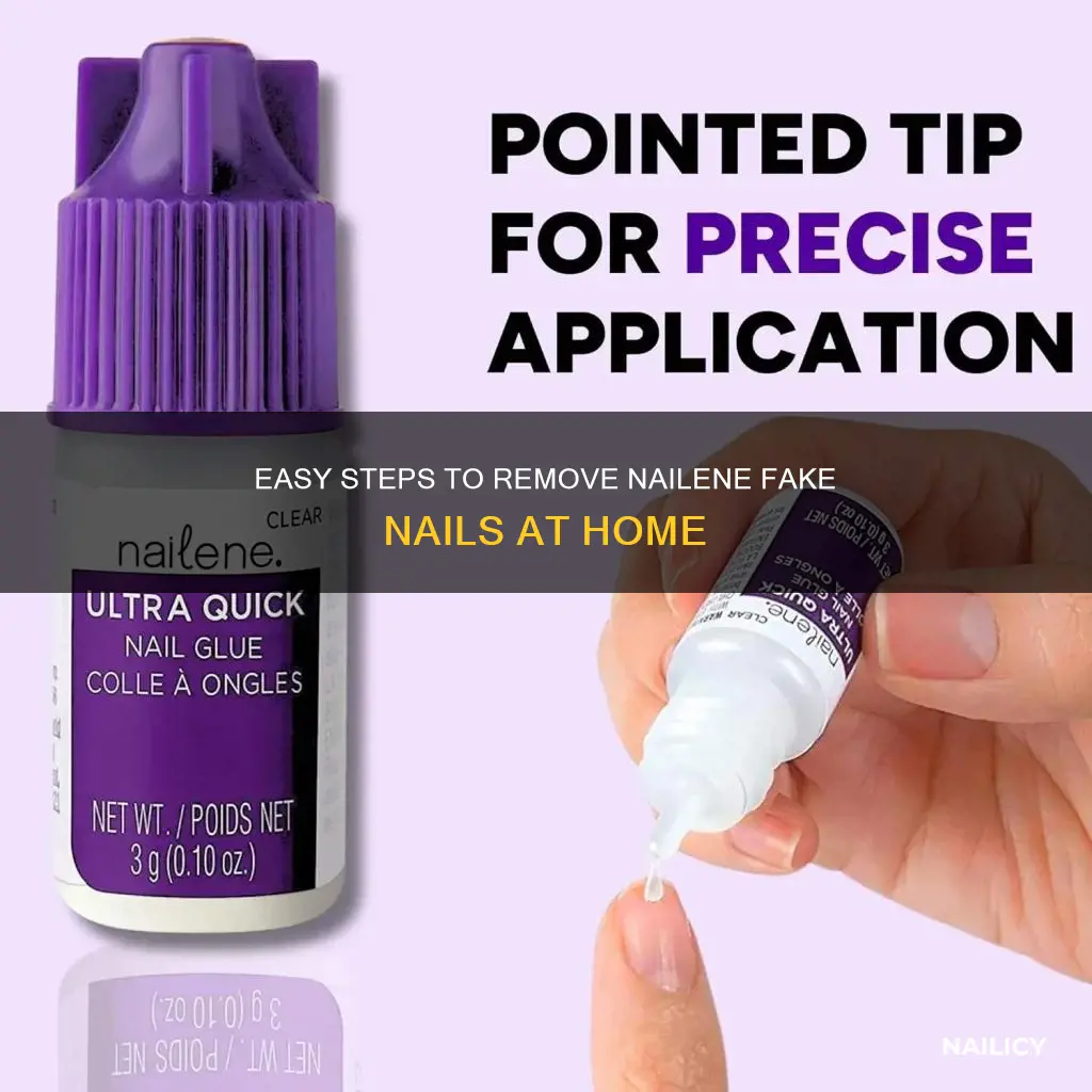 Easy Steps To Remove Nailene Fake Nails At Home | Nailicy