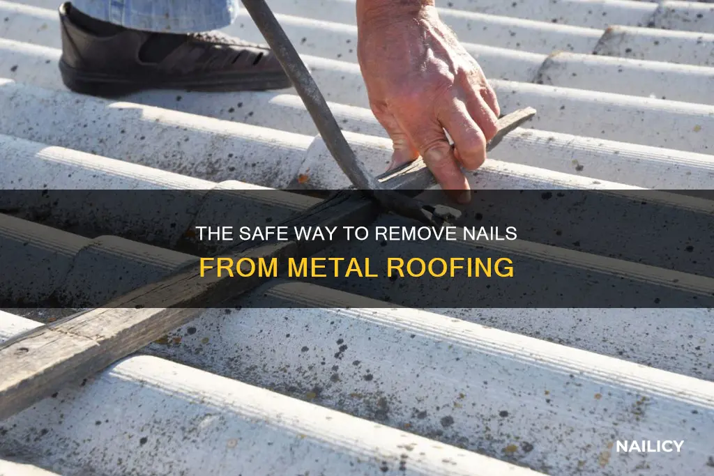 The Safe Way To Remove Nails From Metal Roofing | Nailicy