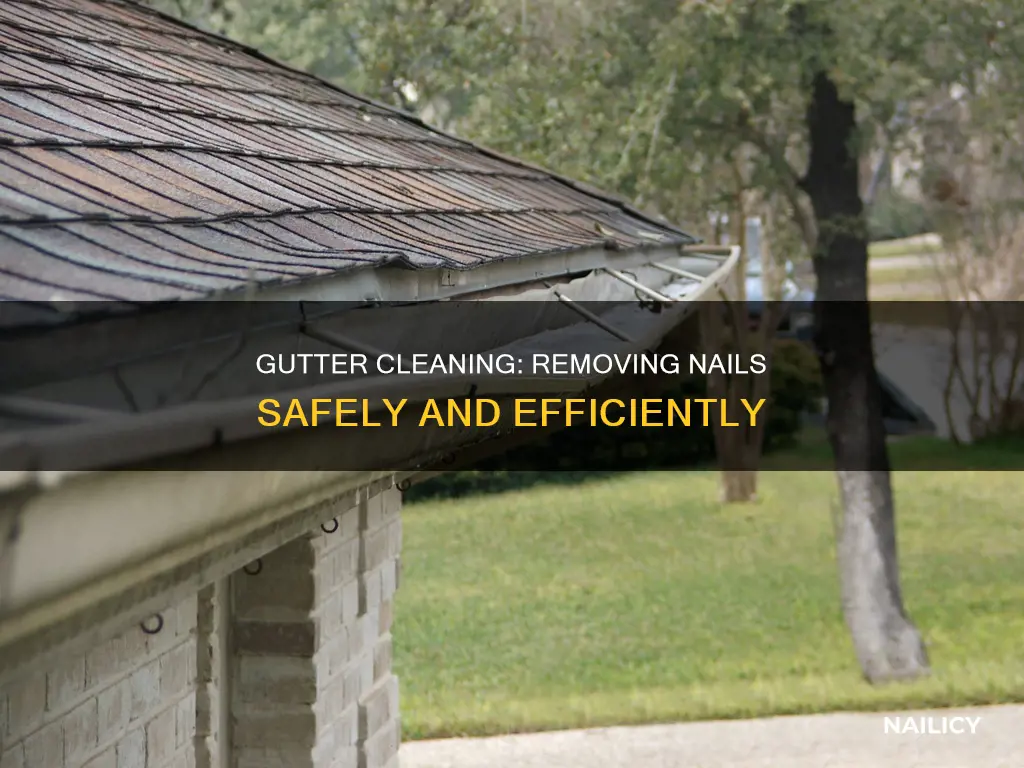 Gutter Cleaning: Removing Nails Safely And Efficiently | Nailicy