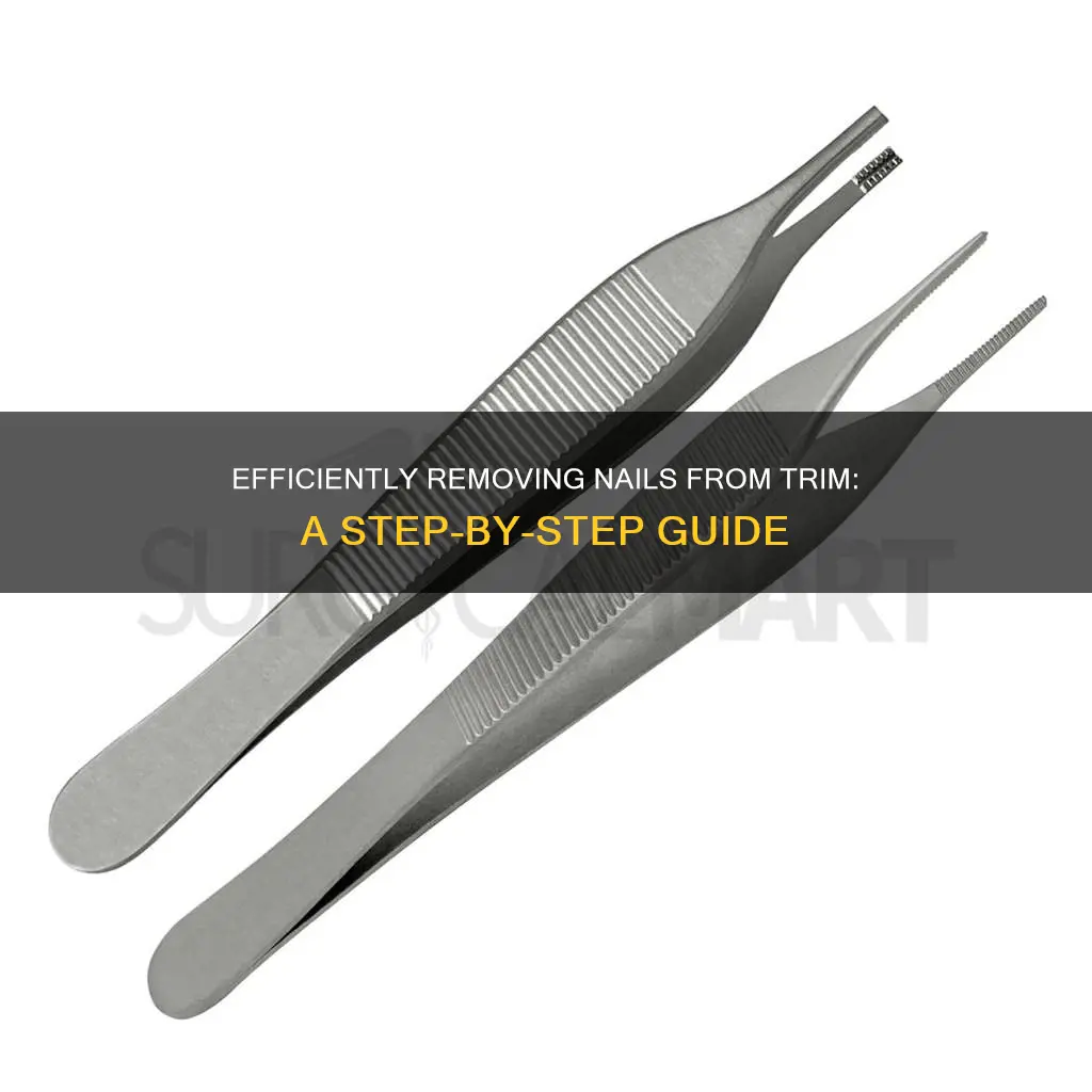 Efficiently Removing Nails From Trim: A Step-By-Step Guide | Nailicy