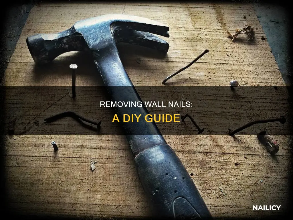Removing Wall Nails: A Diy Guide | Nailicy