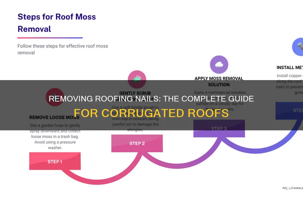 Removing Roofing Nails: The Complete Guide For Corrugated Roofs | Nailicy