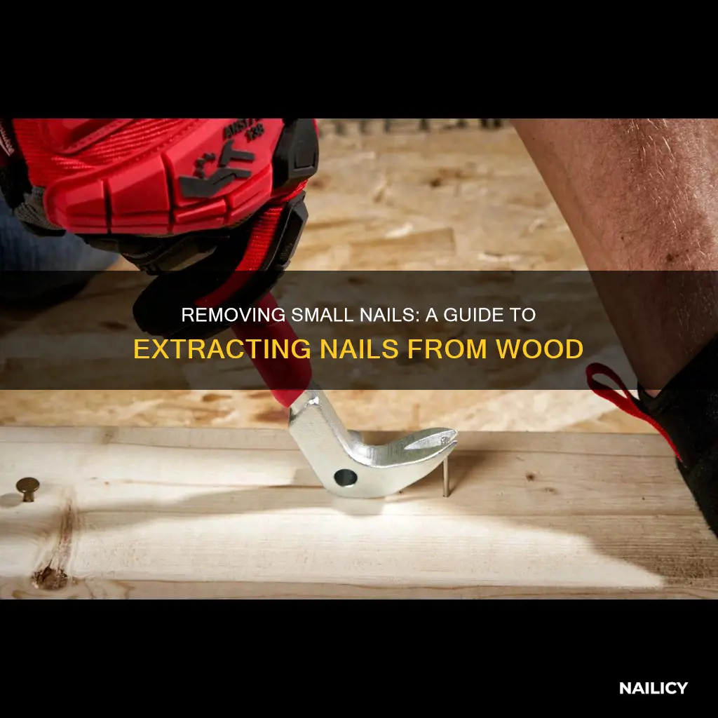 Removing Small Nails: A Guide To Extracting Nails From Wood | Nailicy